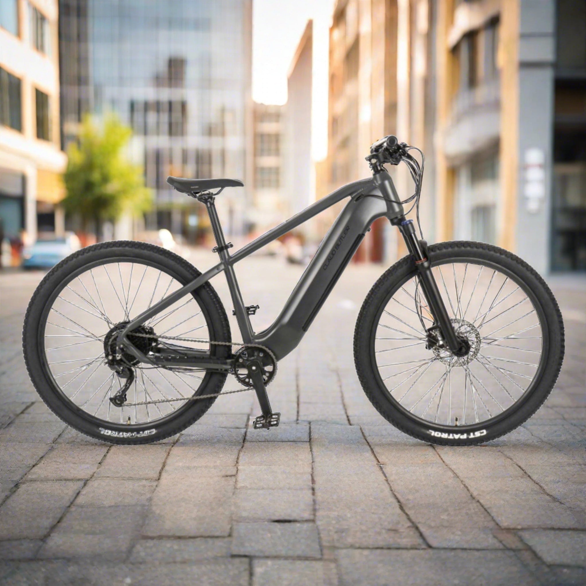 Claud Butler Wrath 1.0 Electric Mountain Bike — North Sports